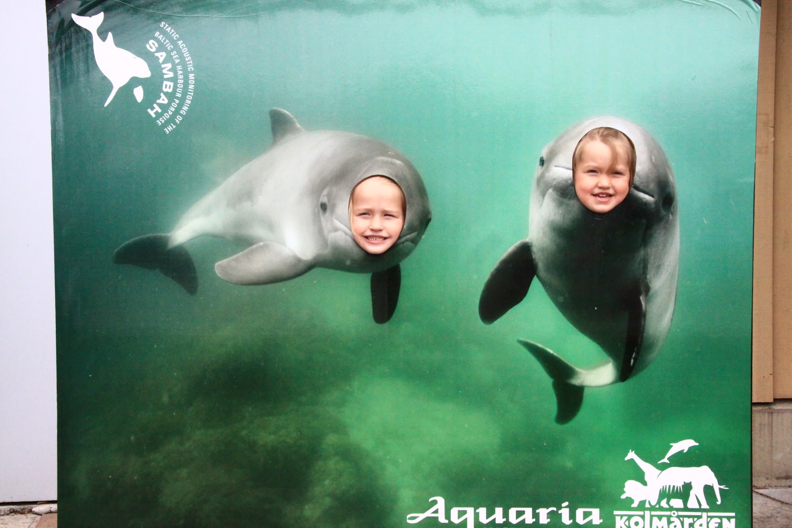 Nupukese tegemised: Rootsi kruiis