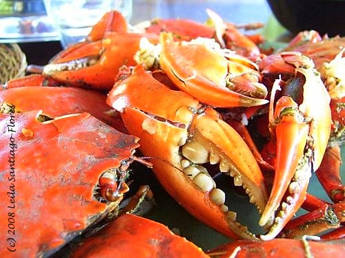 Capiz Best and Its Gift of the Sea