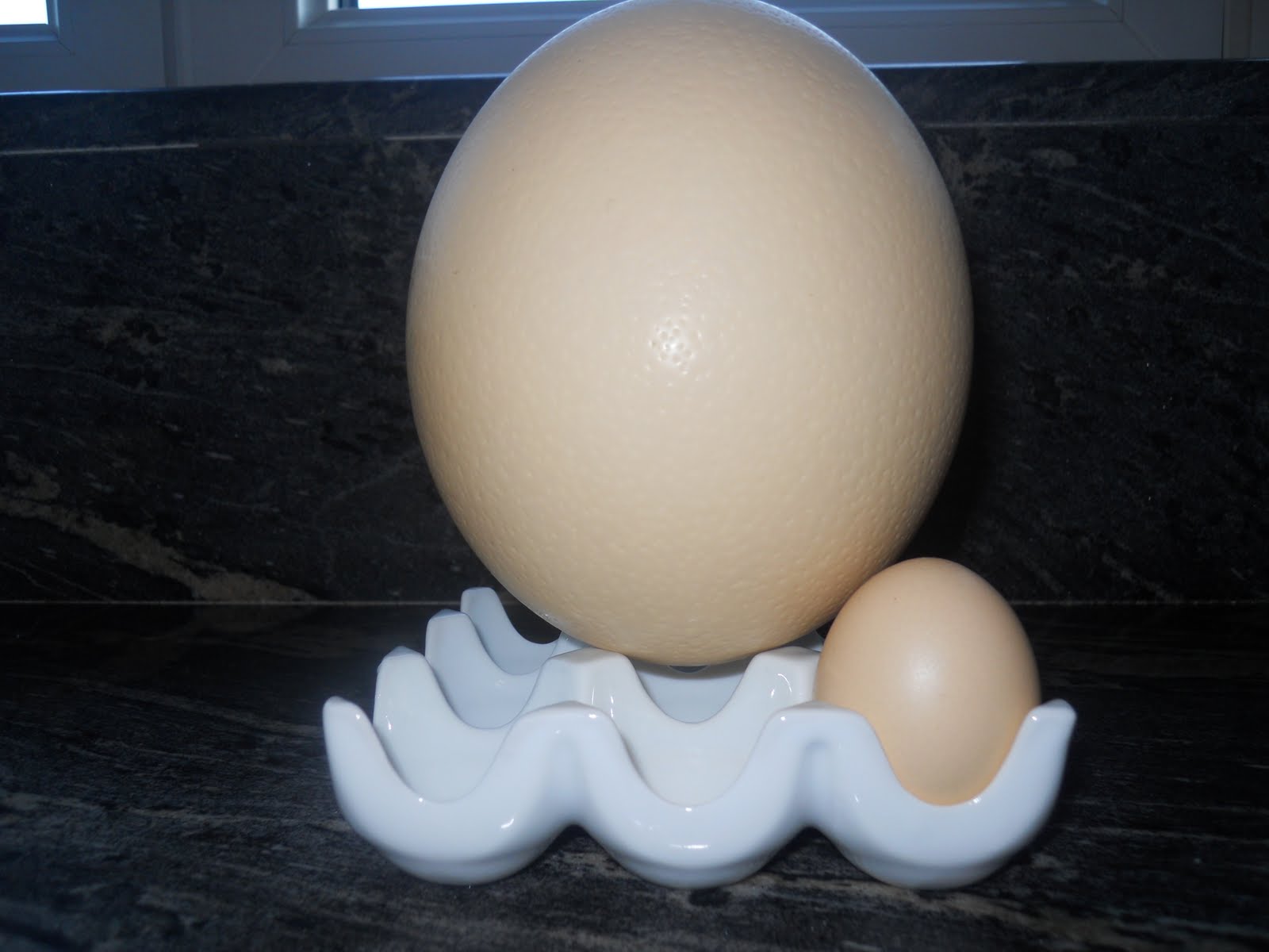 radosť žitia: Jedno vajce...