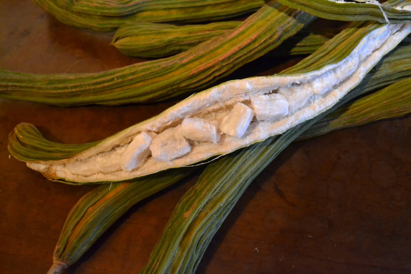 Inga de Metro - Inga edulis