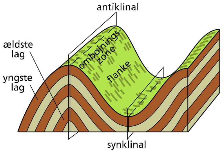 MENGENAL GEOGRAFI: Diastropisme (Tektonisme)
