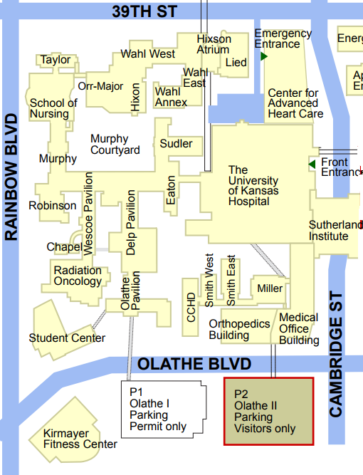 Jayhawk Infectious Diseases: Gram positive laboratory algorithm