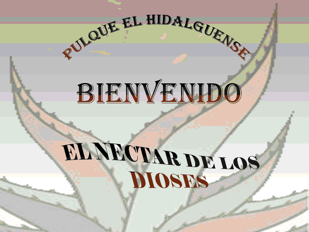 Pulque el Hidalguense: NECTAR DE LOS DIOSES