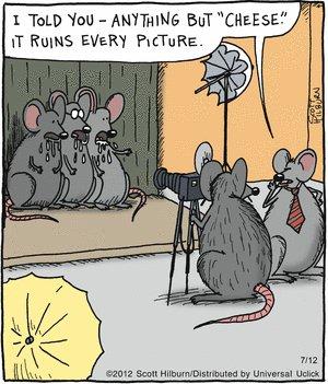 World of Cartoons and Comics: Rats in a photo shoot