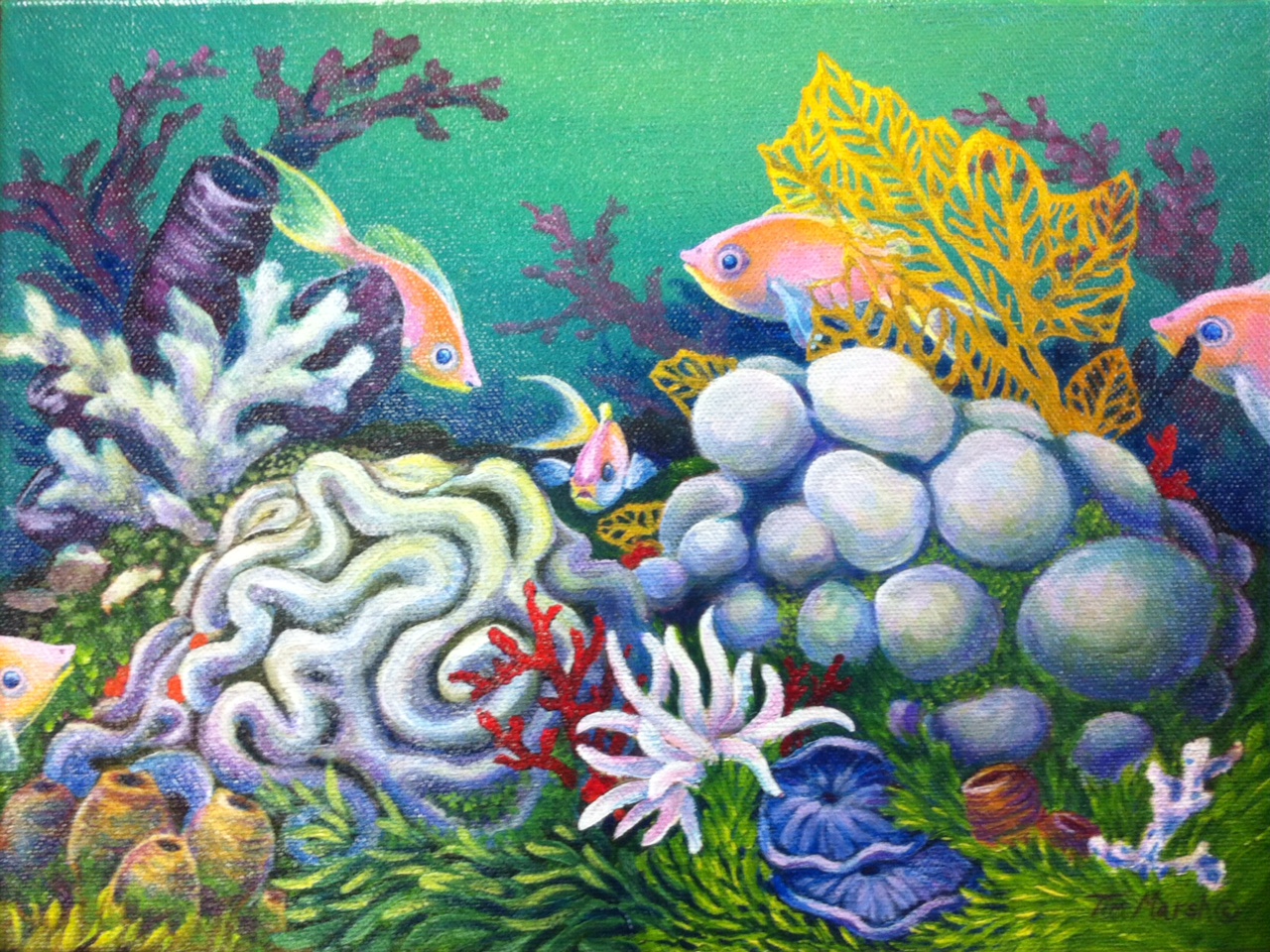 Tim Marsh Nature Artist