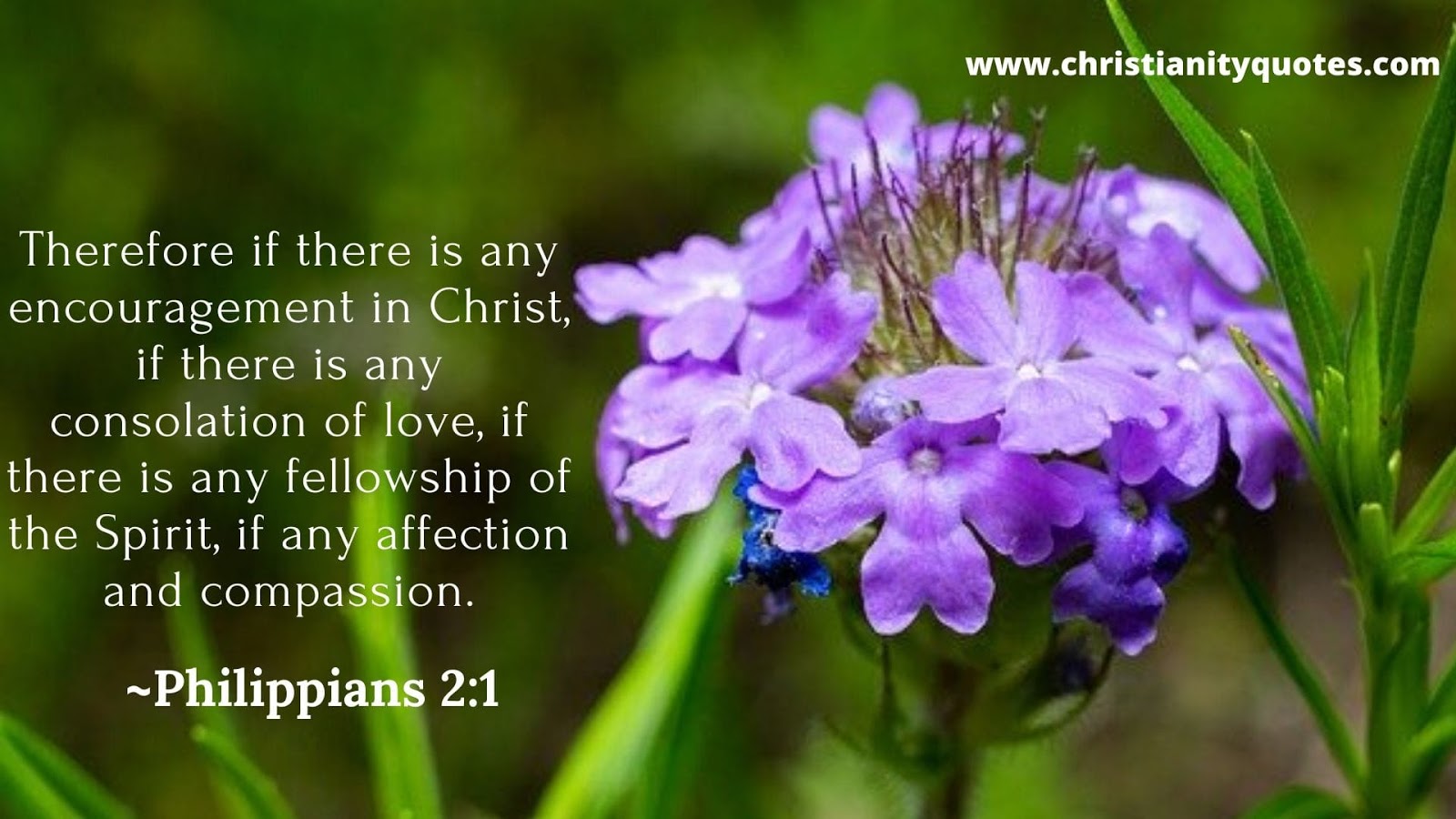 Bible Verses About Motivation | 20 Inspirational Bible Quotes