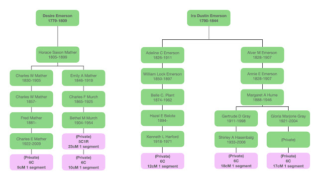Trout Family History: 2021