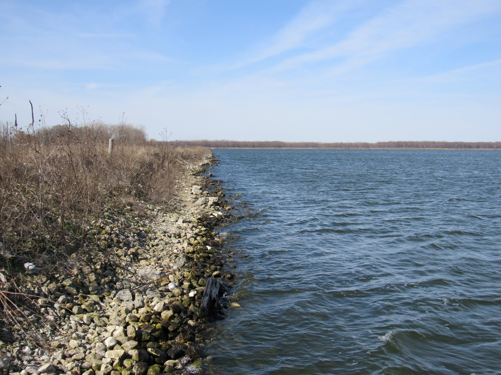 The Wild Land of Lincoln: The Big Day- LOTS OF BIRDING!