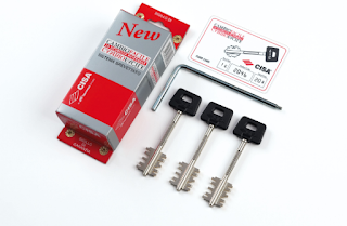 Yale Cisa Constanta ~ Reparatii usi Constanta