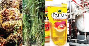 PT.Darmex Agro | Edy Saputra Siregar