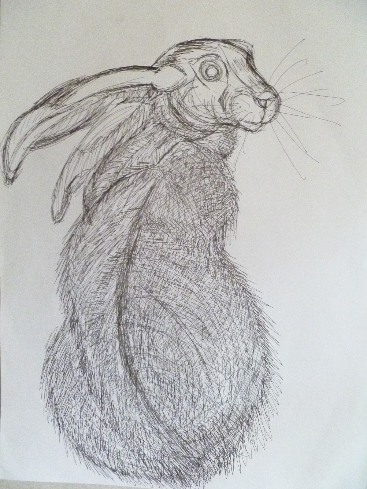A Hare To Far: Hare sketch