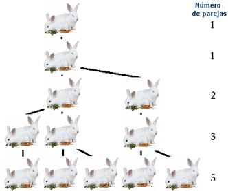 Cine y Matemáticas: La Serie Fibonacci