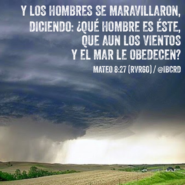 ANTOFAGASTA RELIGIOSA: LA BIBLIA: MATEO 8