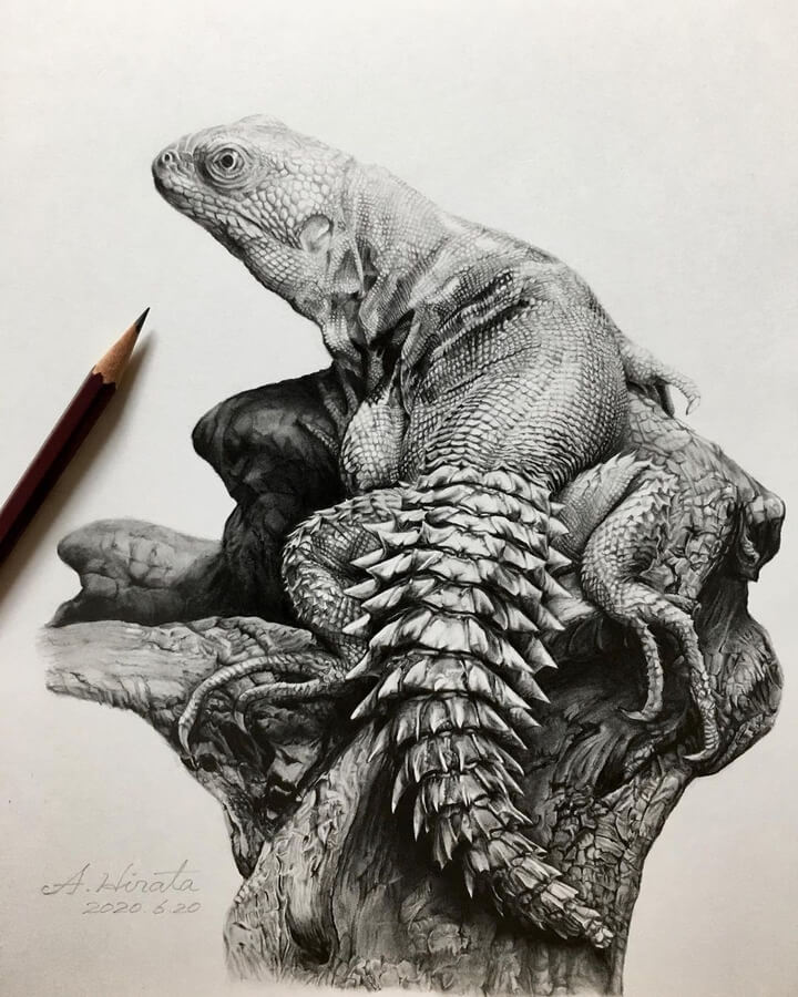 Design Stack: A Blog about Art, Design and Architecture: Reptile Pencil Drawings