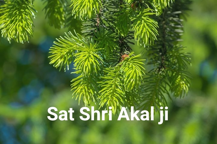 Top 10 Sat Shri Akal Ji Images, Photos, Pictures, Greetings for ...