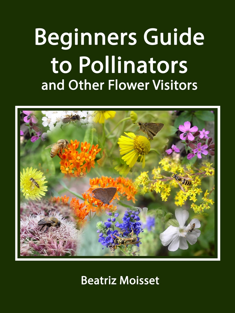Pollinators: Beginners Guide to Pollinators