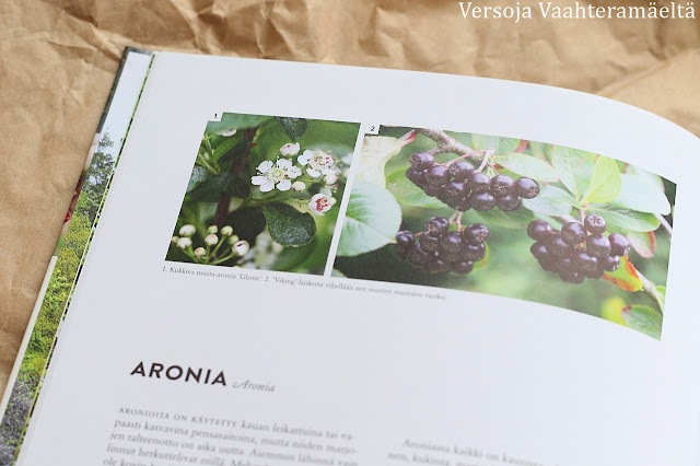 Versoja Vaahteramäeltä : LEIKKAA hedelmäpuut ja marjapensaat