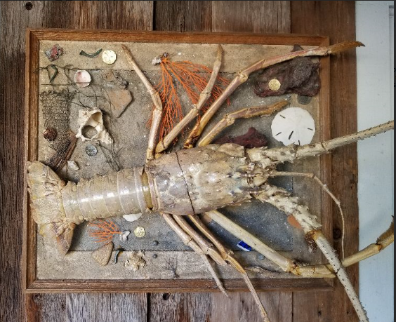 The Treasure Beaches Report Direct From Florida's Treasure Coast.: 10 ...