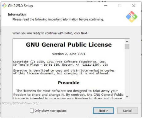 Why every Programmer should use Git?