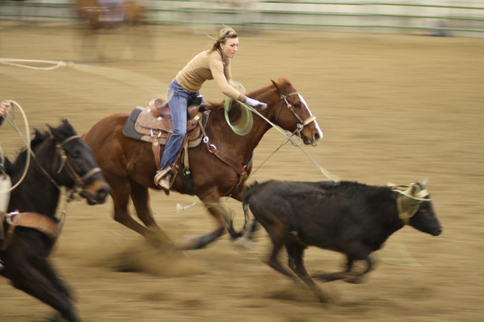 Luke Blair Photography: Team Roping at the Arena in Casper, WY
