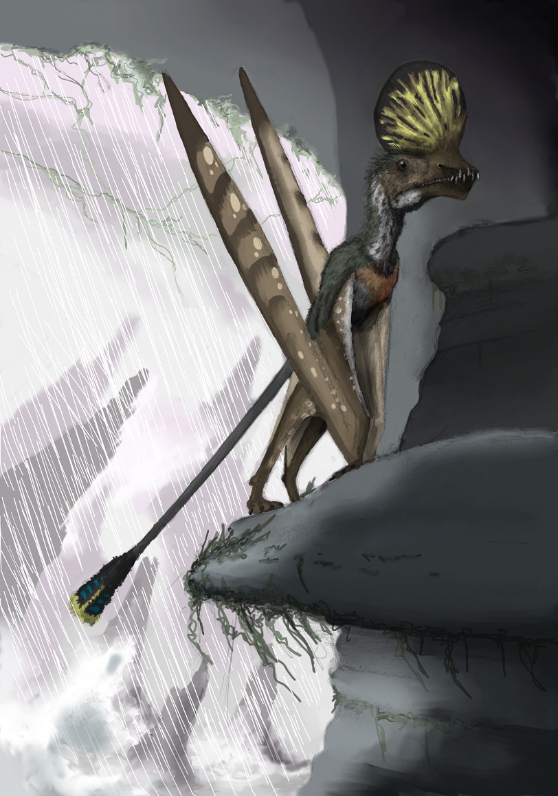 Mark Witton.com Blog: The magnificent Caviramus, an early example of an ...