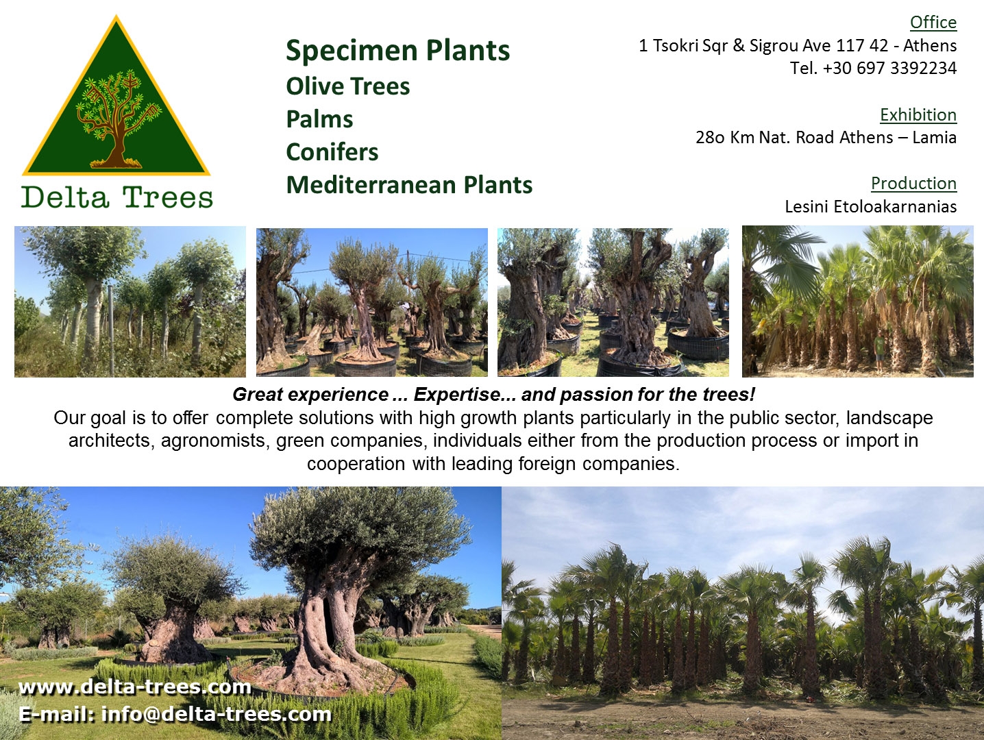 ΦΥΤΩΡΙΑ ΔΕΛΤΑ NURSERIES DELTA TREES LTD: ΙΔΙΑΙΤΕΡΑ ΔΕΝΤΡΑ - SPECIMEN ...