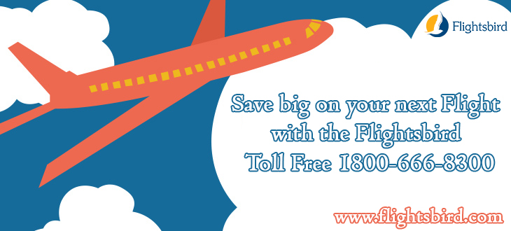 Get 20% on cheap flights from Chicago to Miami @Flightsbird