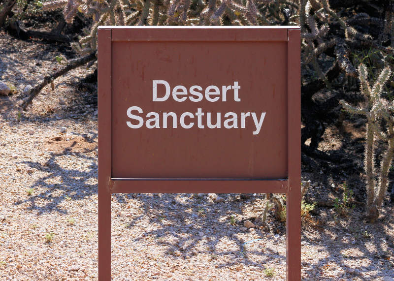 Tucson's Pocket Parks: Desert Sanctuary at Immanuel Presbyterian Church