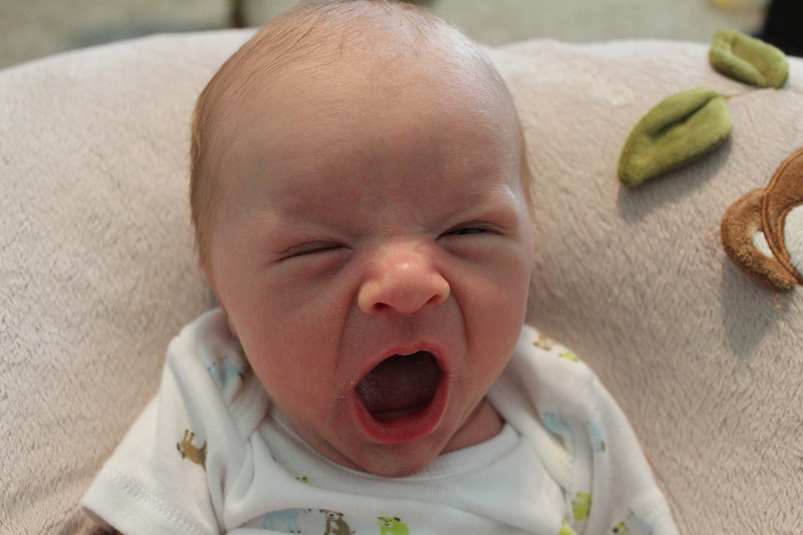 Baby Aaden: A Day In The Life Of A Baby