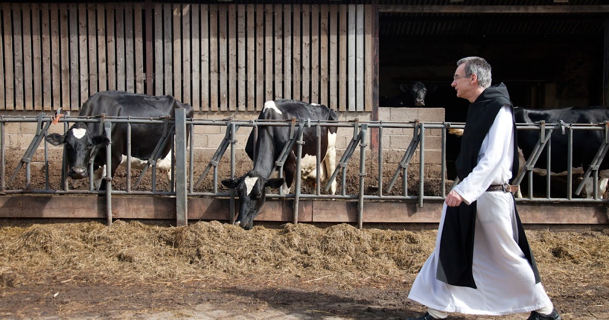 The Rectification of Names: Downward Trajectory