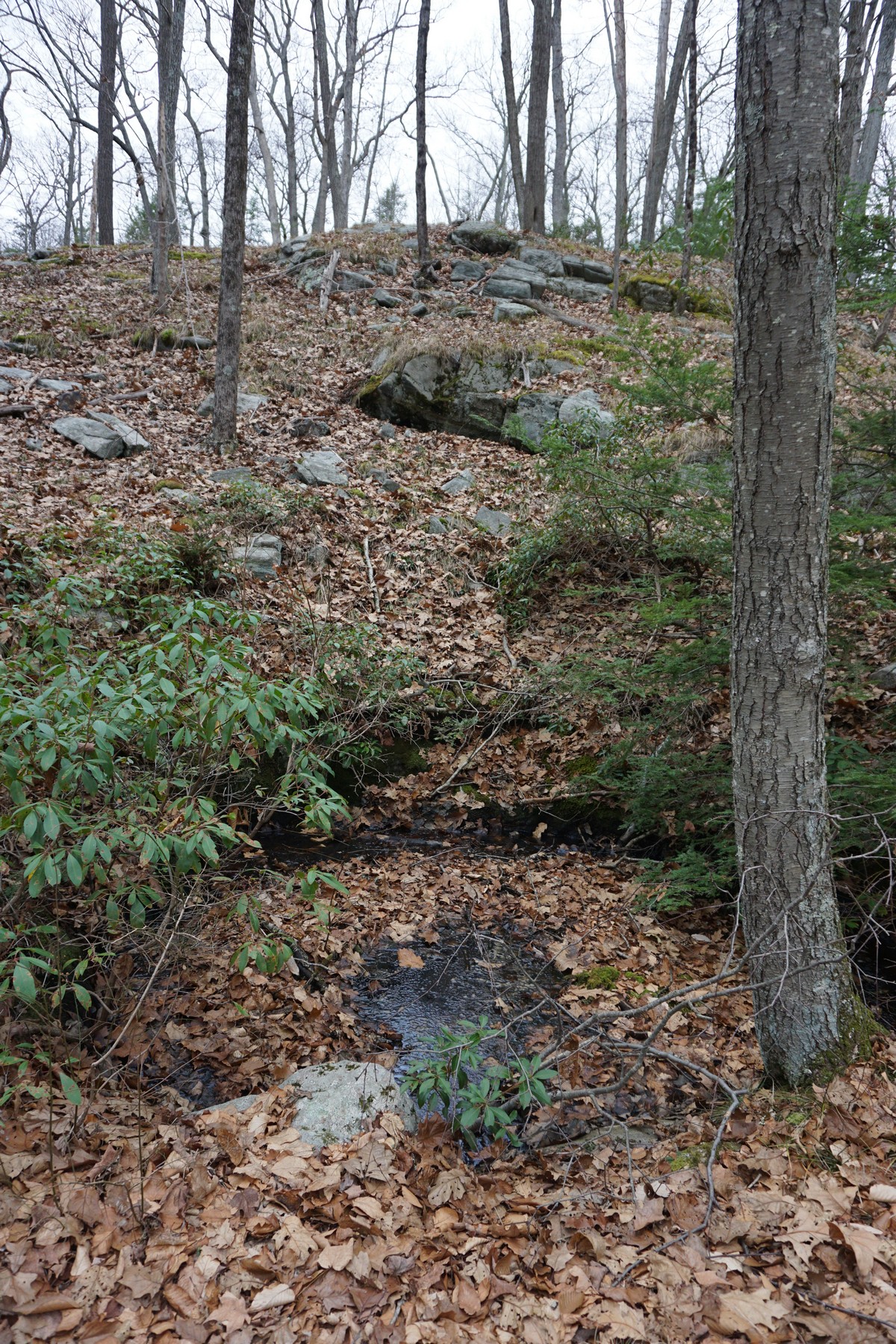 Harriman Hiker: Harriman State Park and Beyond: Pine Swamp Mountain to ...