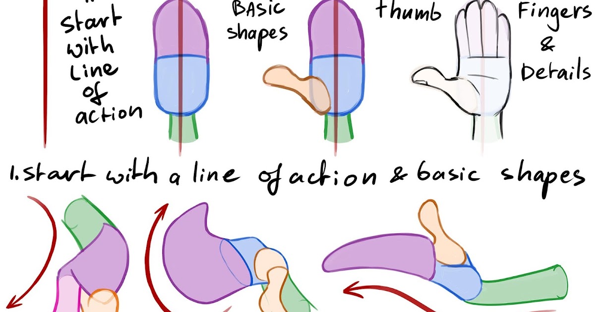 Learning drawing principles: hands