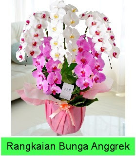 Terbaru 29+ Gambar Rangkaian Bunga Anggrek Bulan - Gambar Bunga Indah