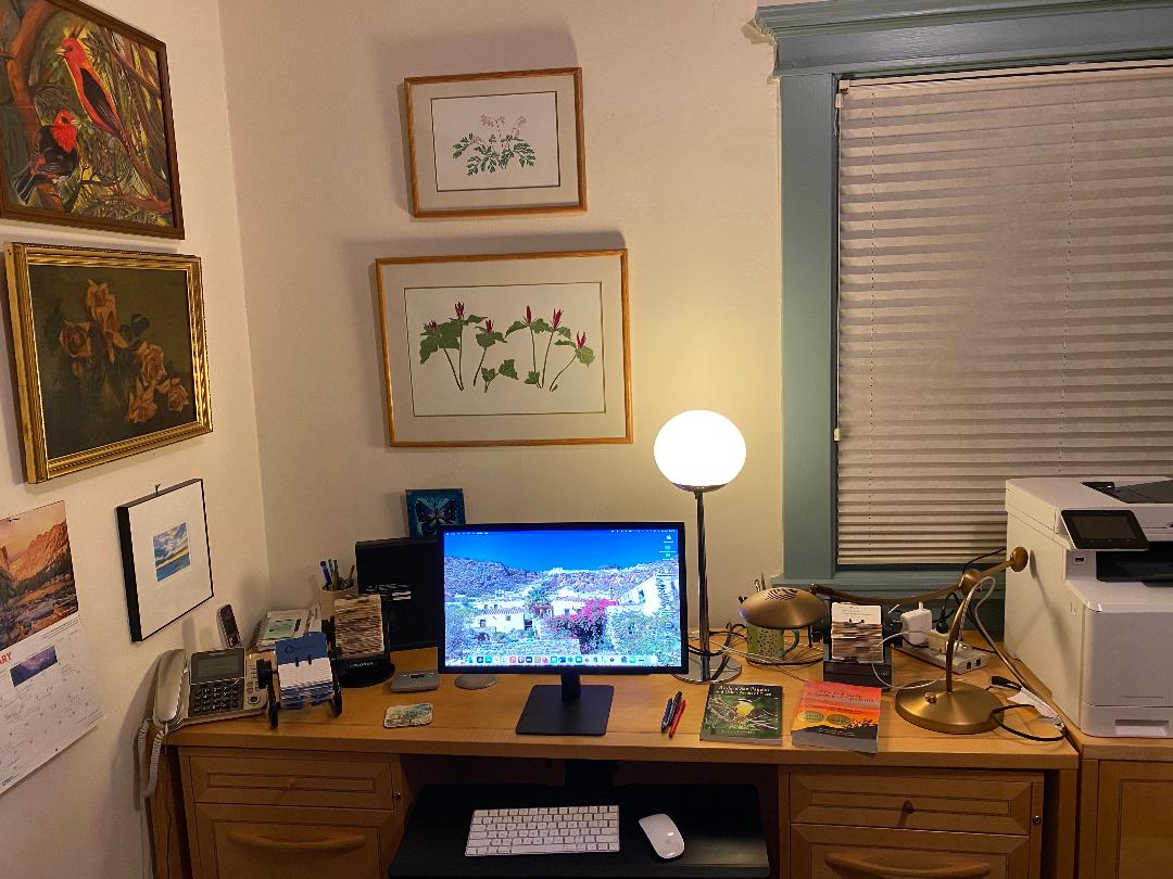 CHRIS RICE COOPER BLOG is ART and HUMANITY Framed In The PhotoFeature ...