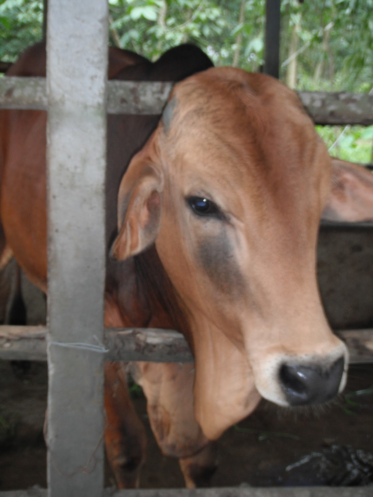 The Journey to Brielle Autumn