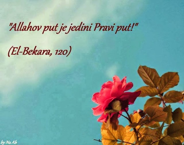 islamski-citati