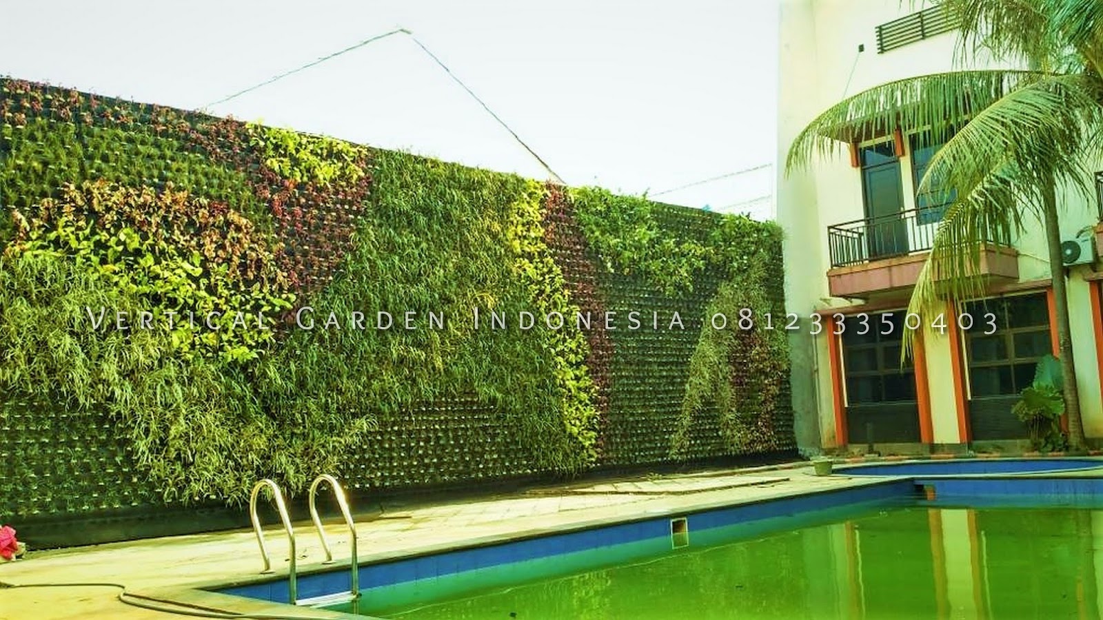 Desain Taman Vertical/Konsep Vertical Garden Dari Jasa Tukang Taman ...