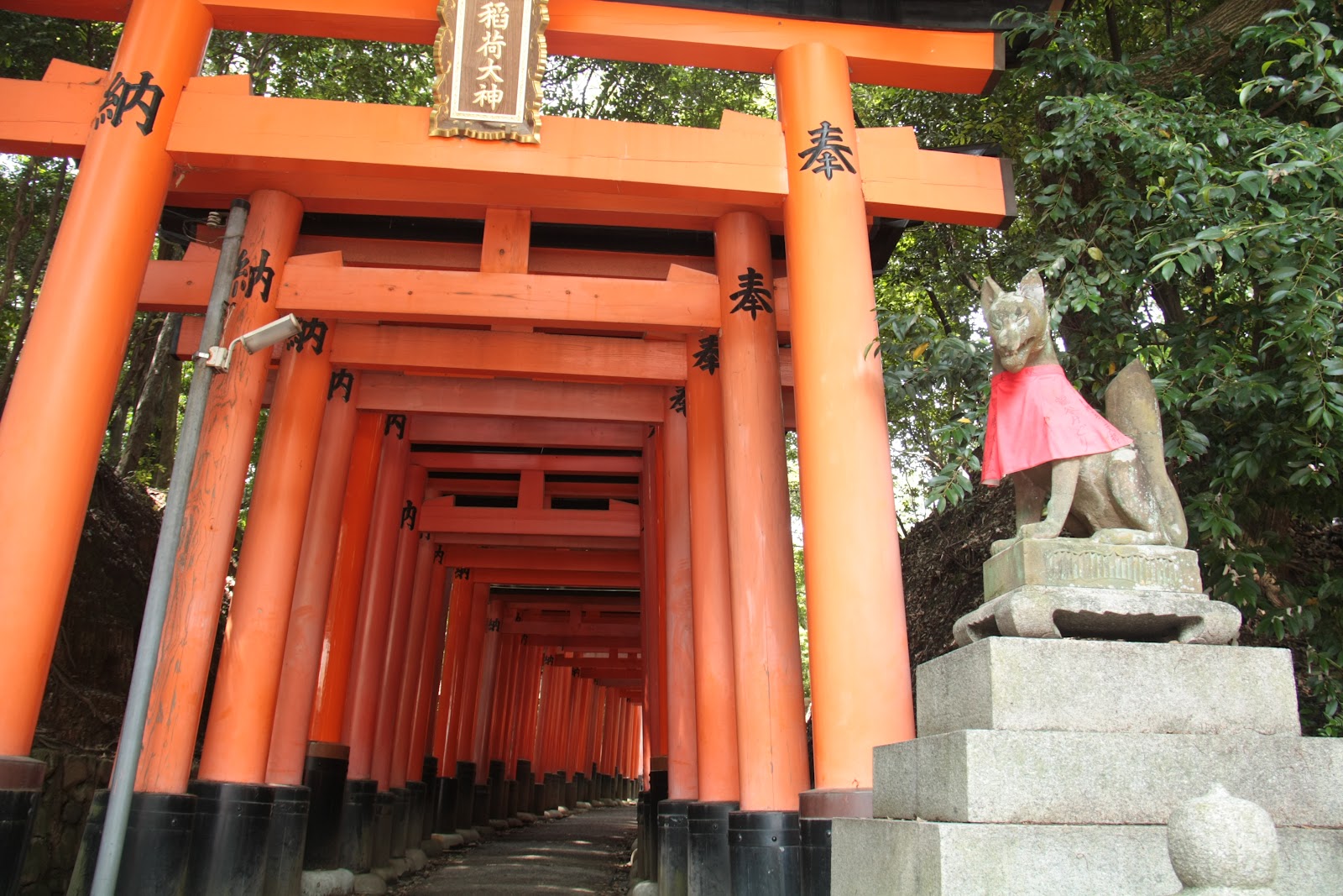 Cooking Tokyo: Kitsune Udon