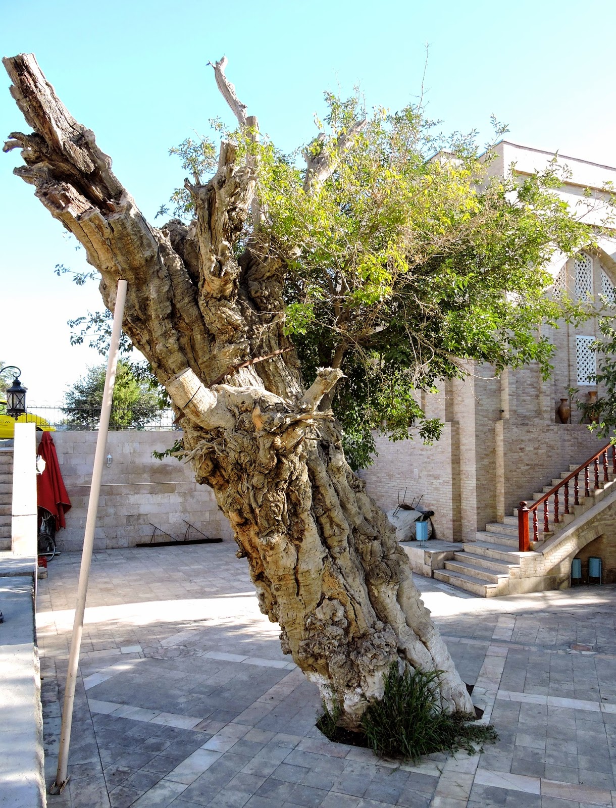 eGlobal Education: Bukhara--a legend of a city