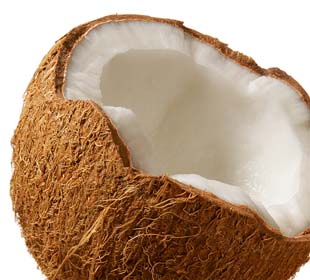 El coco en Venezuela - Vida Familiar