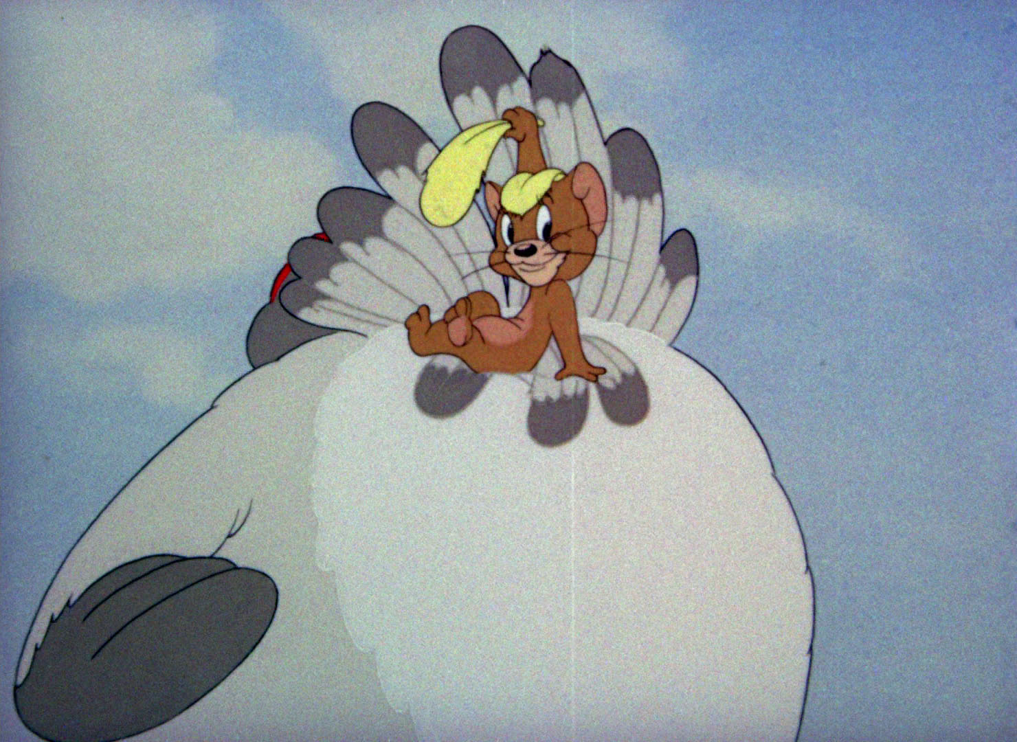 Tom & Jerry Pictures: "Fine Feathered Friend"