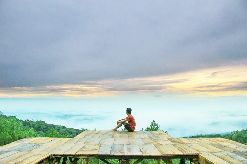 Gardu Pandang Pinus Asri, Spot Foto Baru di Pinus Asri - Eksotis Jogja
