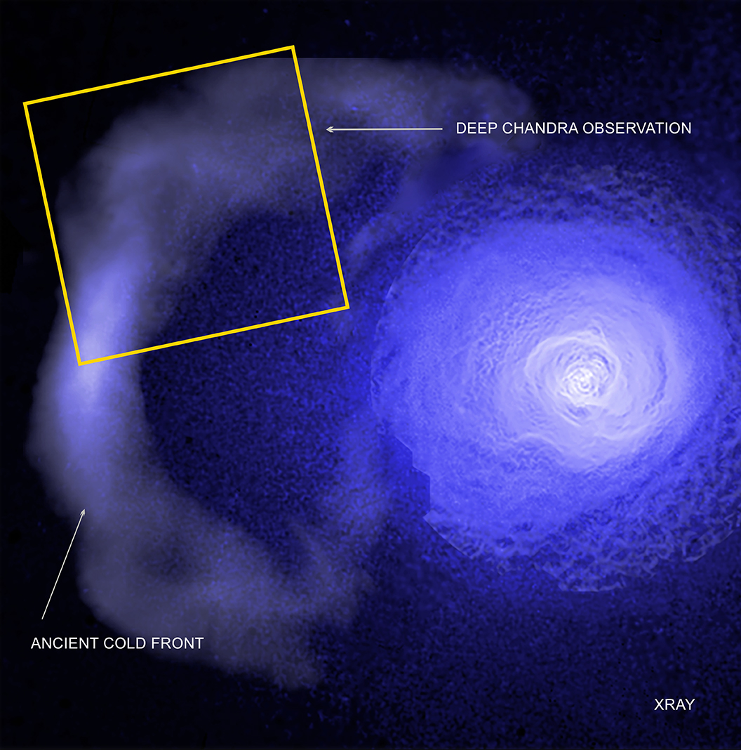 The Cold Front in the Perseus Cluster