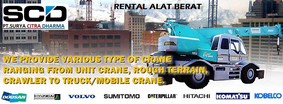 Rental Rafter Crane: Rafter Crane