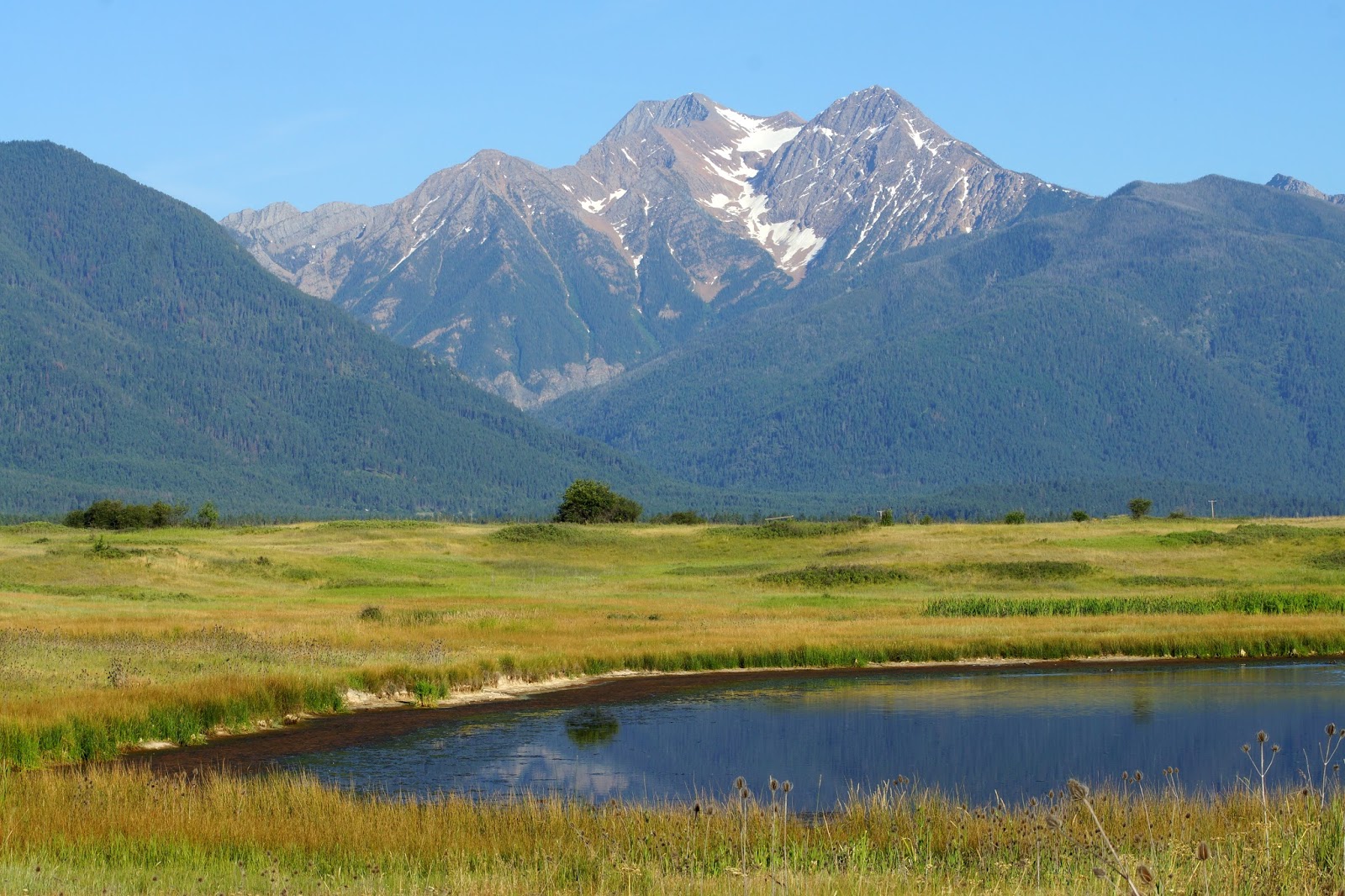 Dancing 'Cross the Country: The National Bison Range: Dixon, Montana