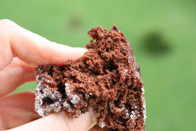 mis recetas dulces y saladas: bizcochitos de chocolate al micro en 3 ...