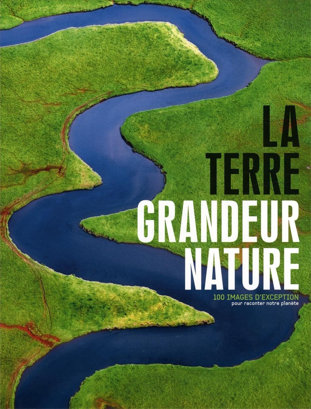 Animalia: La terre grandeur nature, de Sophie Thoreau