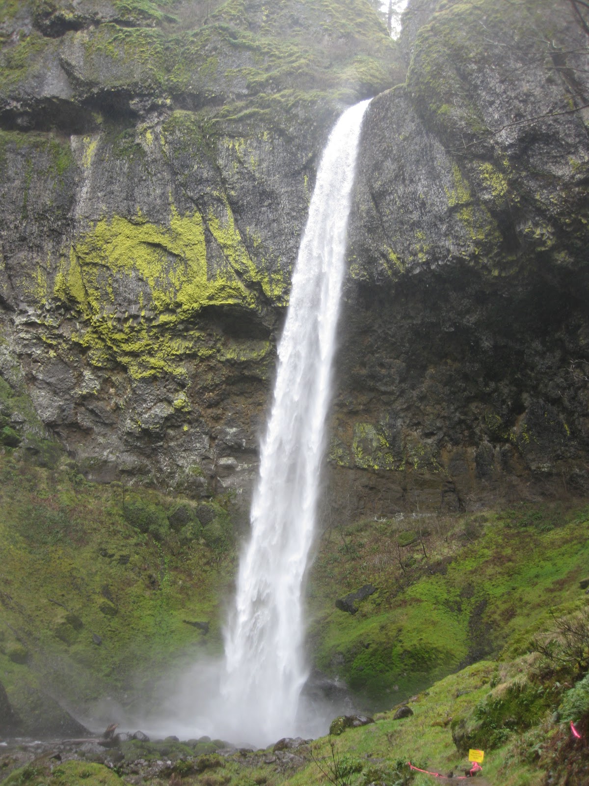 The Active Joe: Gorge Waterfalls 50K Race Report