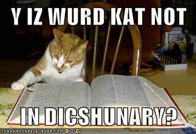 Grammar Catz: Grammar Cat #8: Dictionary Cat