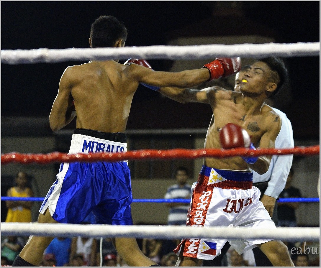 FrEsH aNd GrEeN: One Last Time Before The Bigtime, Aj Banal